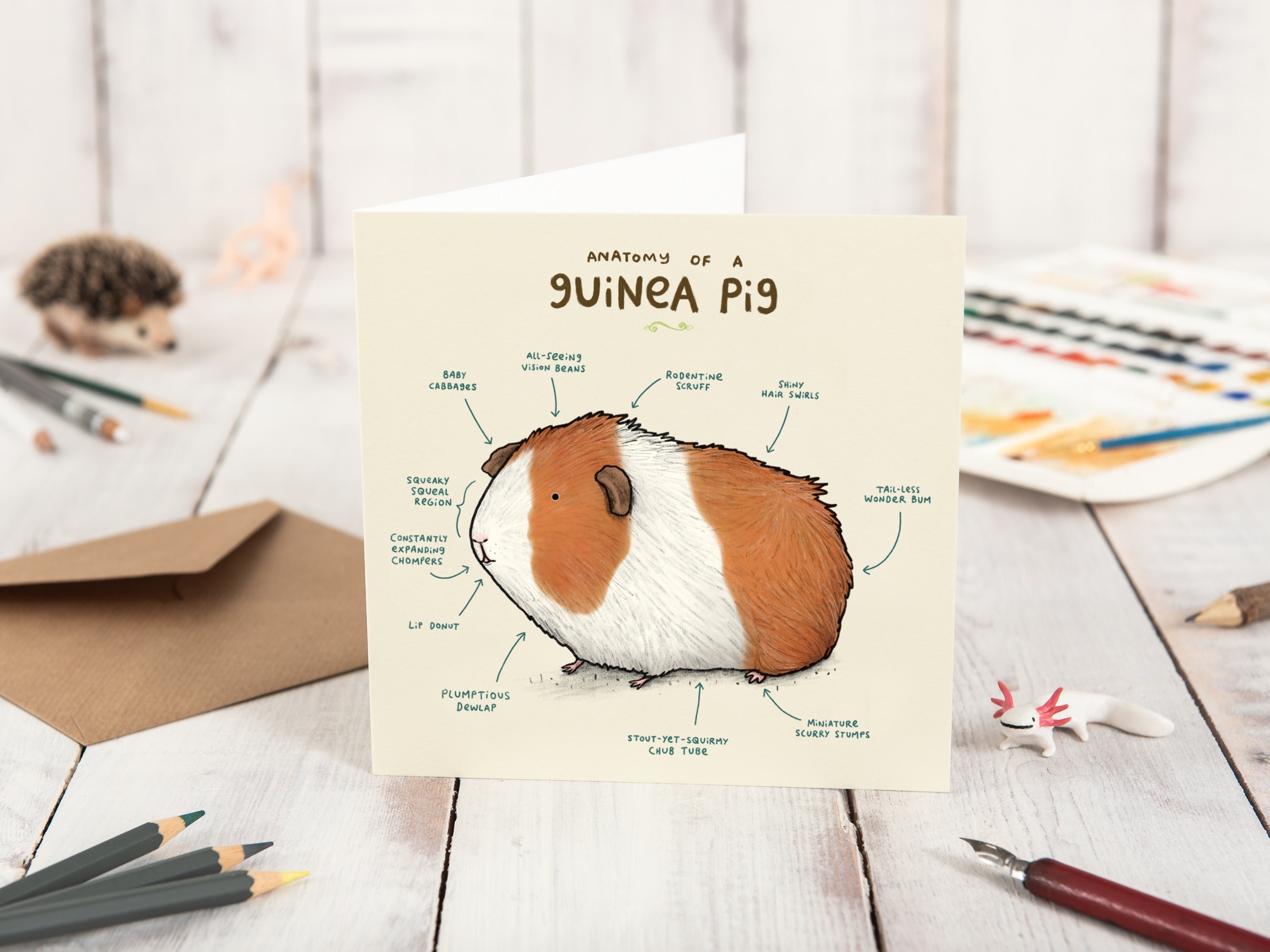 Anatomy of A Guinea Pig Card - Etsy