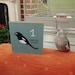 One for Sorrow Magpie Nursery Rhyme Mini Art Zine: Hand Signed Children ...