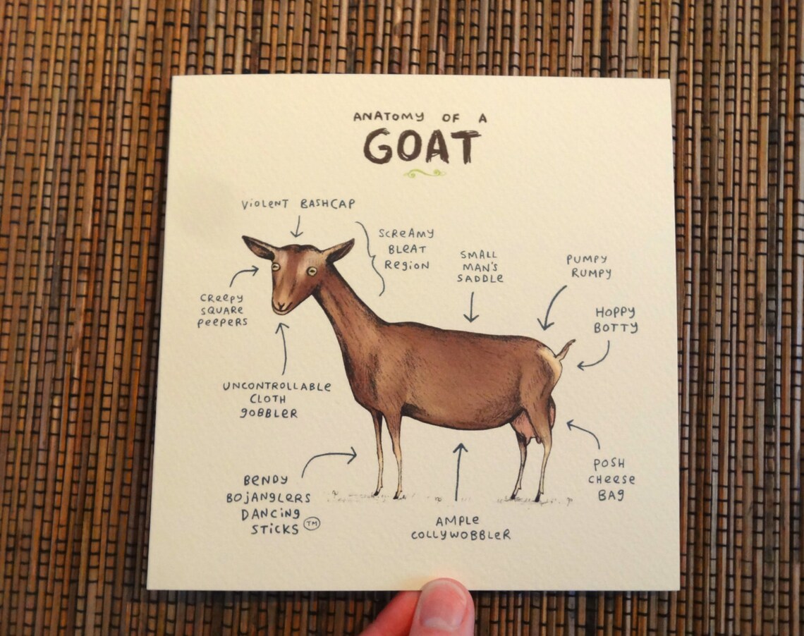 Anatomy of A Goat Card - Etsy