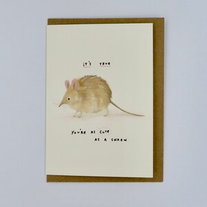 You're as Cute as a Shrew Card Adorable Funny Fluffy Shrews Valentines ...