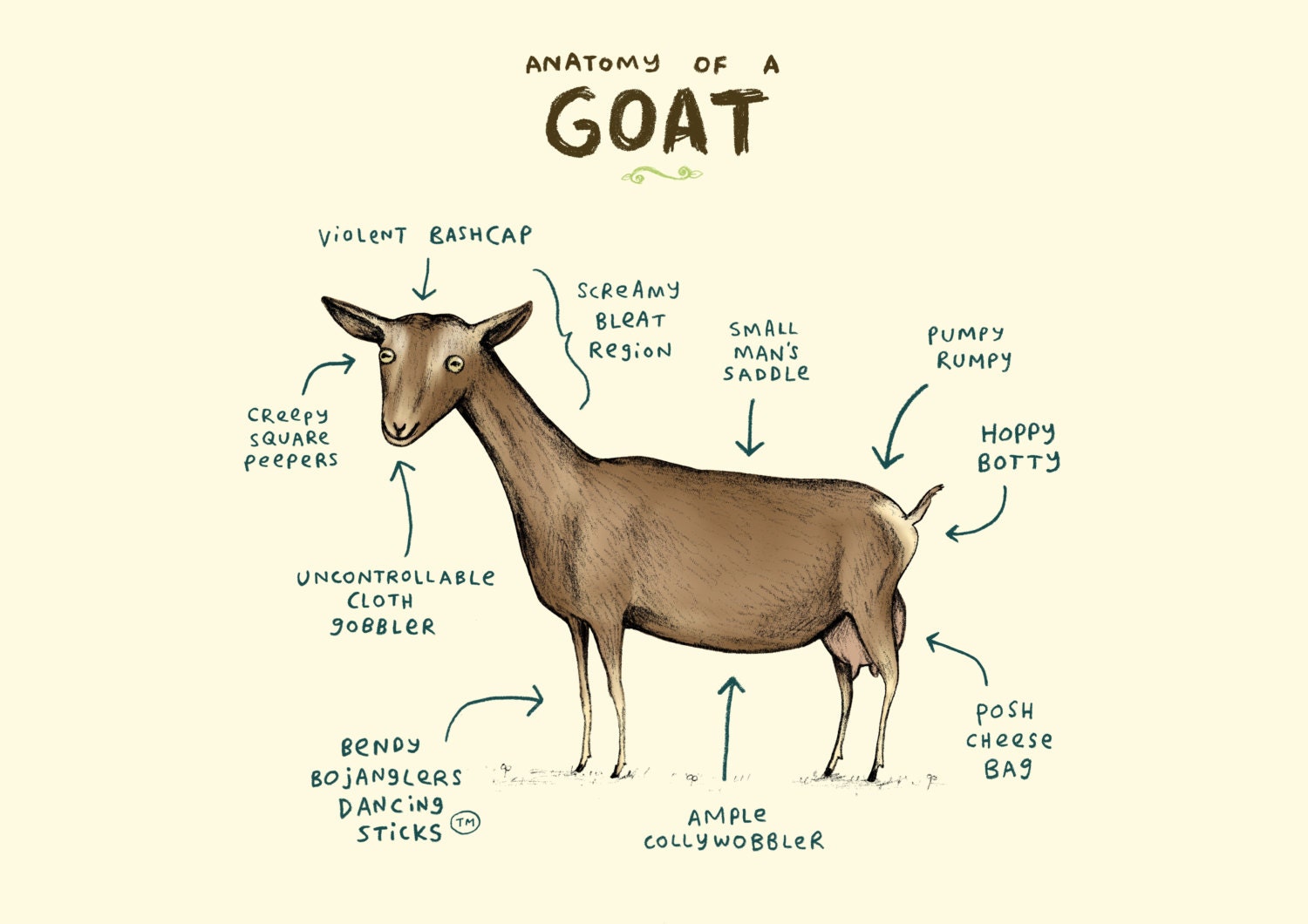 Anatomy of A Goat A4 Signed Print | Etsy UK