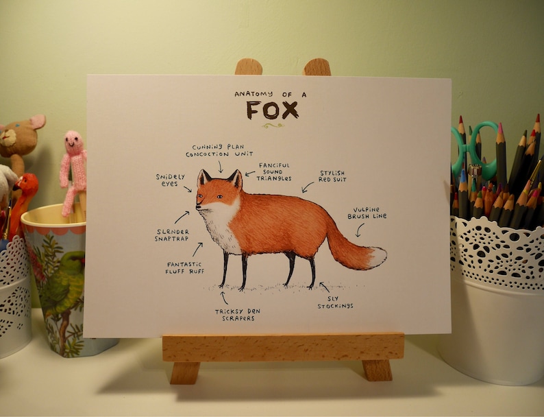 Anatomy Of A Fox A4 Signed Print | Etsy