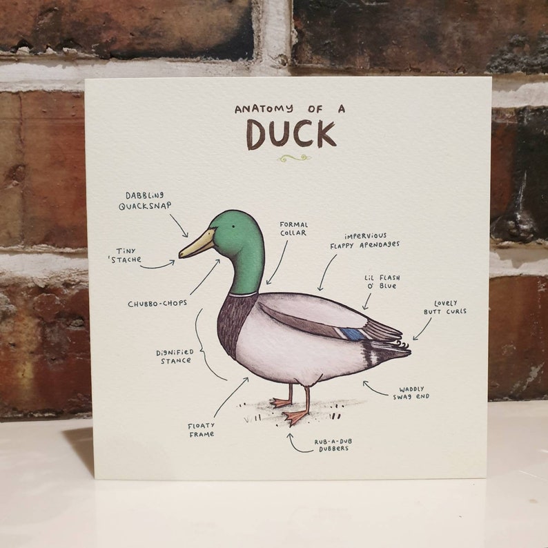 Anatomy of A Duck Card - Etsy