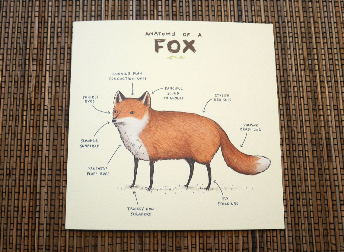 Anatomy of A Fox Card - Etsy