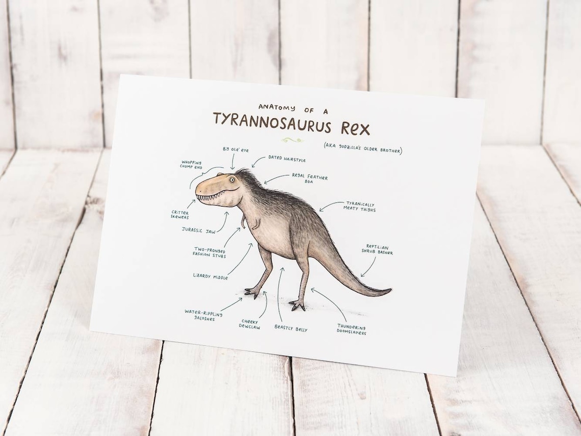 Anatomy Of A Tyrannosaurus Rex A4 Signed Print | Etsy
