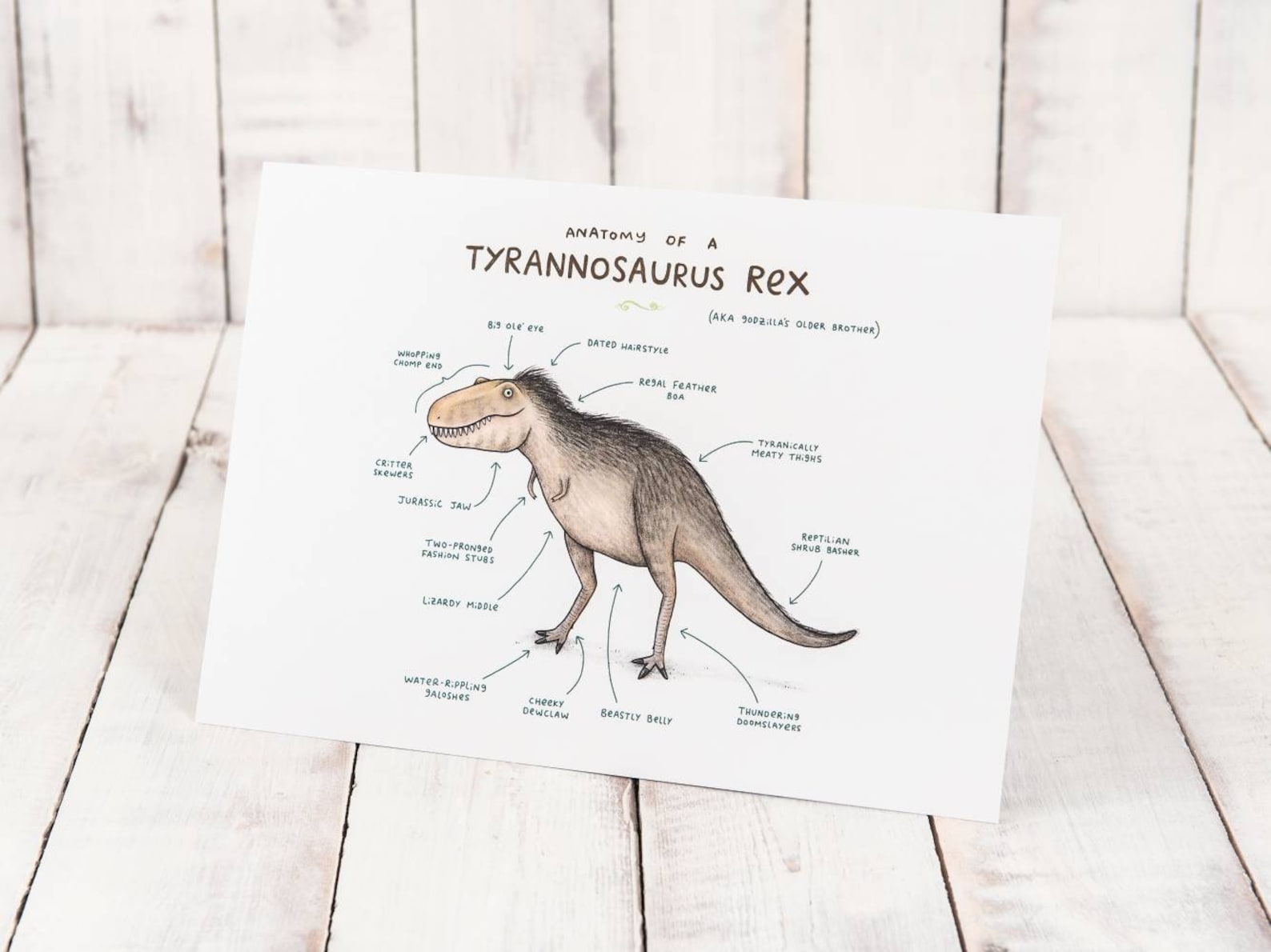 Anatomy of A Tyrannosaurus Rex A4 Signed Print - Etsy