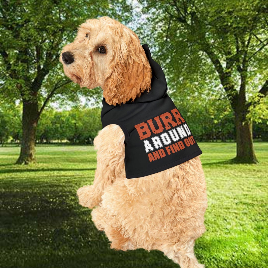 Joe Burrow Burr Around and Find Out Funny Pet Hoodie, Cincinnati ...