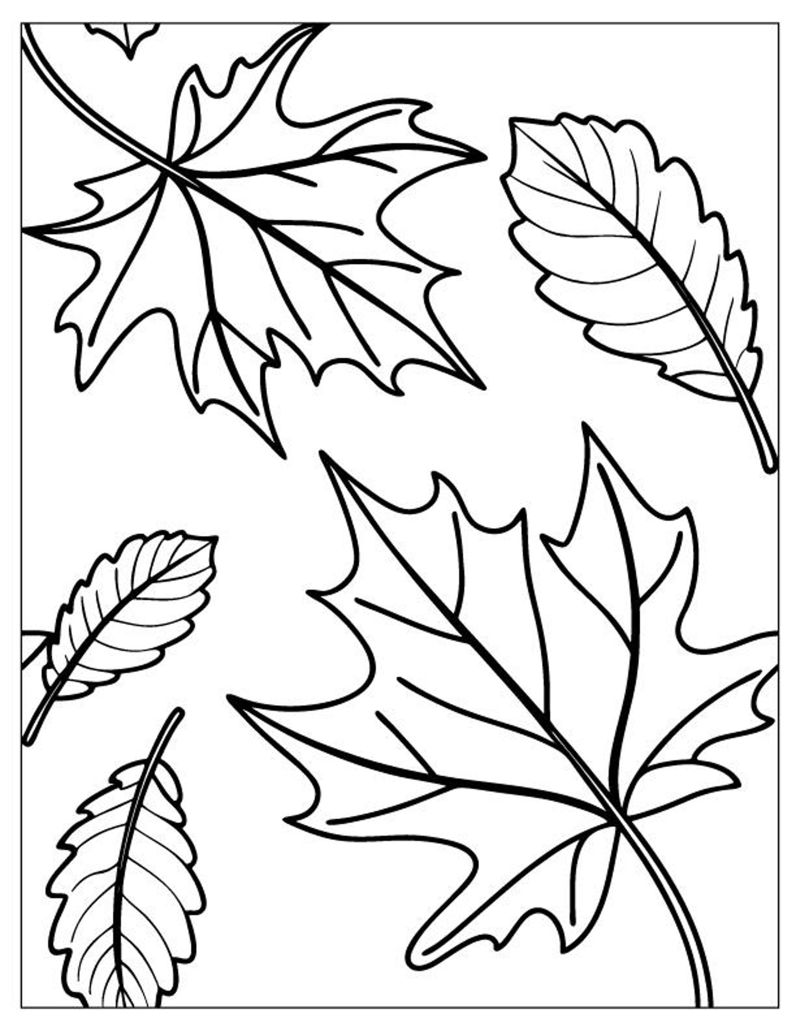 Fall Coloring Pages for Kids & Adults | 20 Autumn Printable Sheets ...