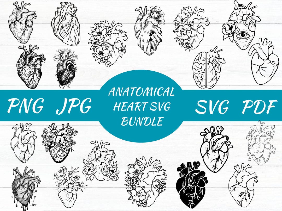 Anatomical Heart SVG Bundle, Floral Heart Clipart (digital Files) - Etsy
