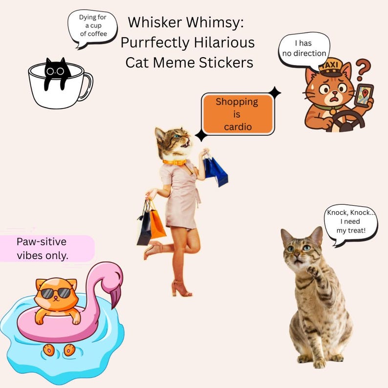 Funny Cat Meme Sticker Pack: Digital Planner Stickers (instant Download ...