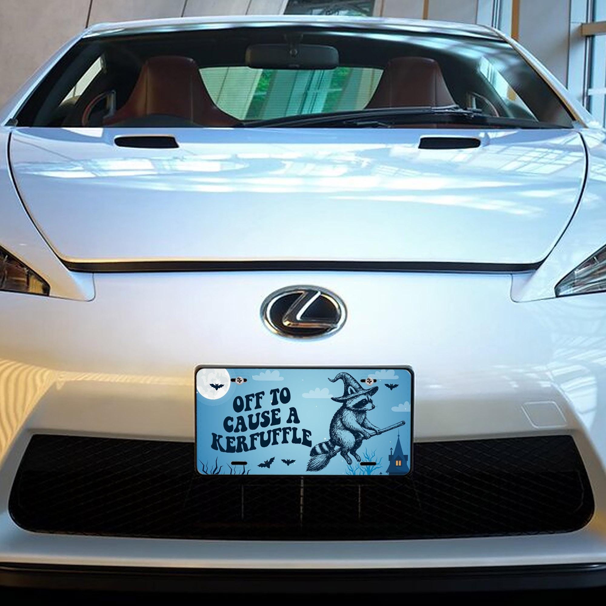 Funny Front Car License Plate, Cute Vanity Truck Tag Car Accessories ...