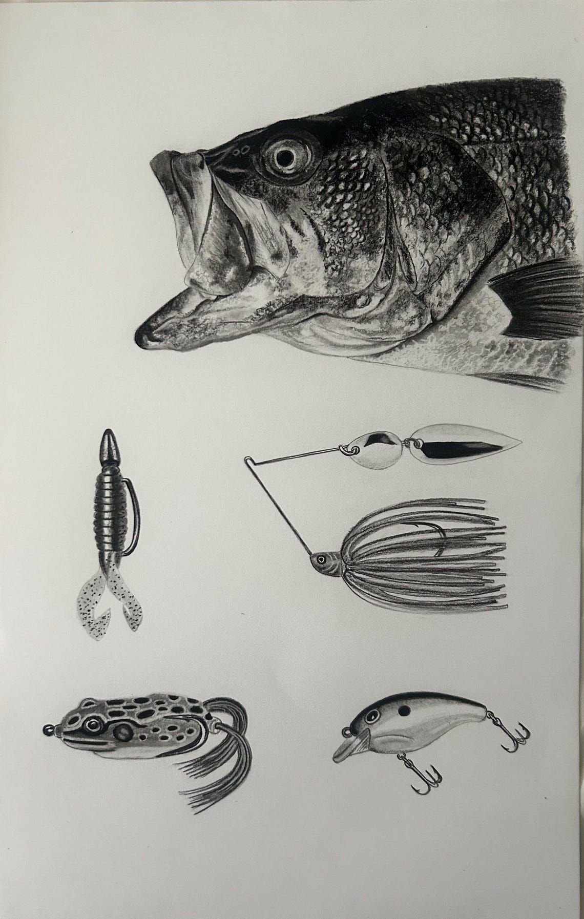 Basin Series Art Prints - Etsy