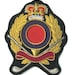 Custom Gold Bullion Embroidered Patch: Handmade Crest, Logo, or Emblem ...