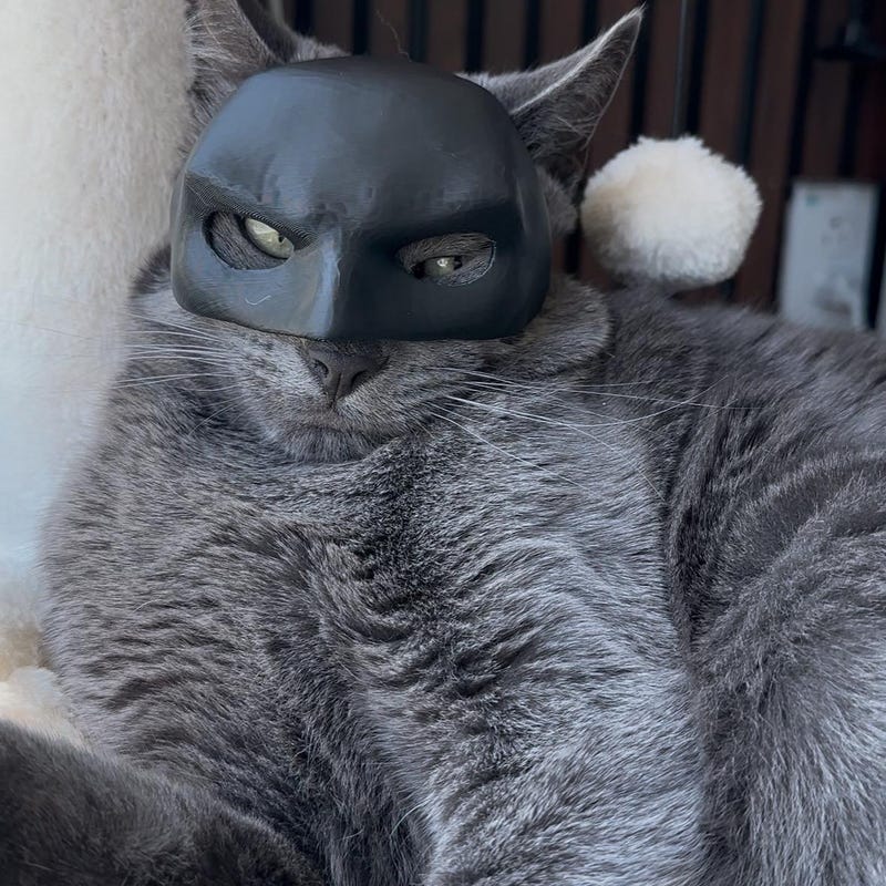 Bat Cat Mask - Etsy