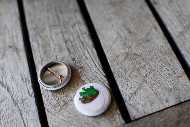 Succulent Pinback Buttons Set of 4 | Etsy