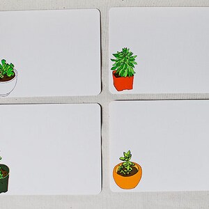 Succulent Flat Note Cards- Set of 8 - Etsy