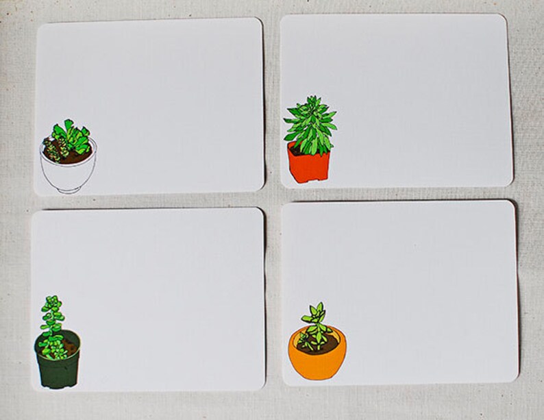 Succulent Flat Note Cards Set of 8 - Etsy