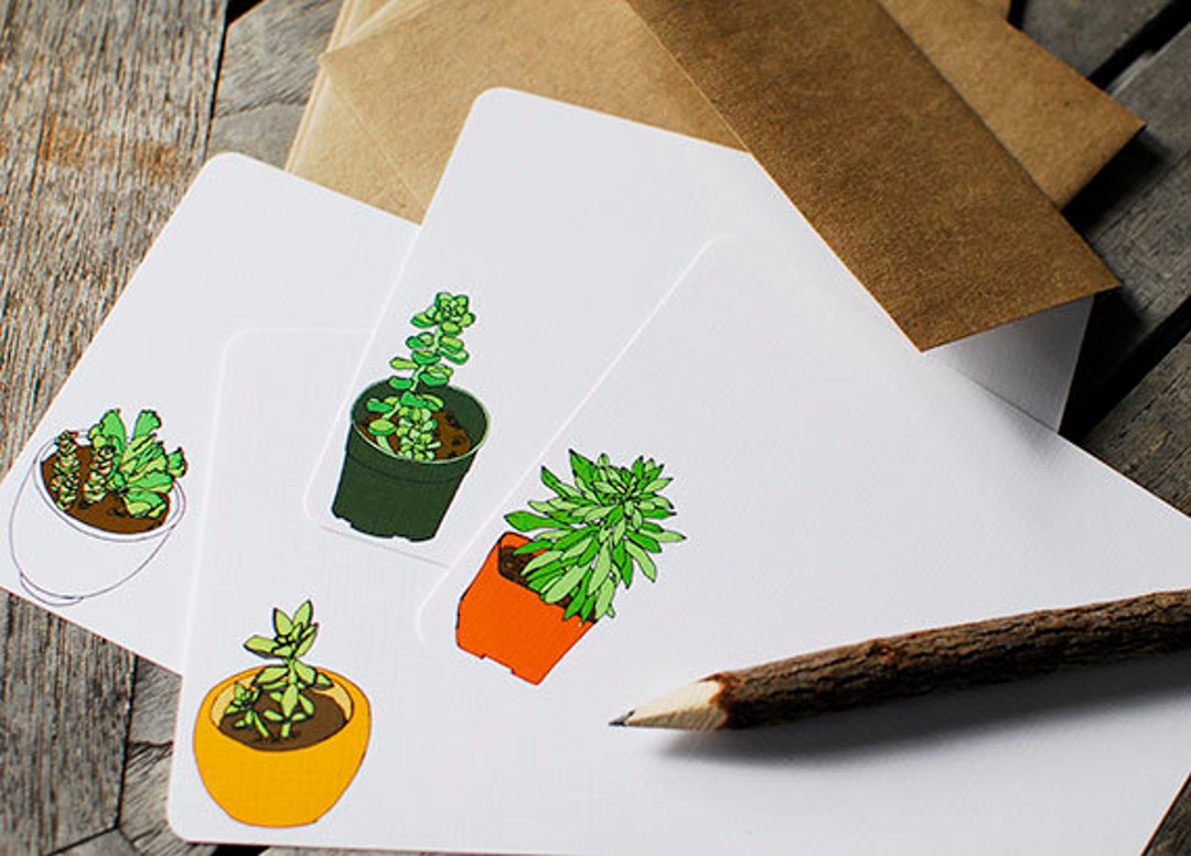 Succulent Flat Note Cards- Set of 8 - Etsy