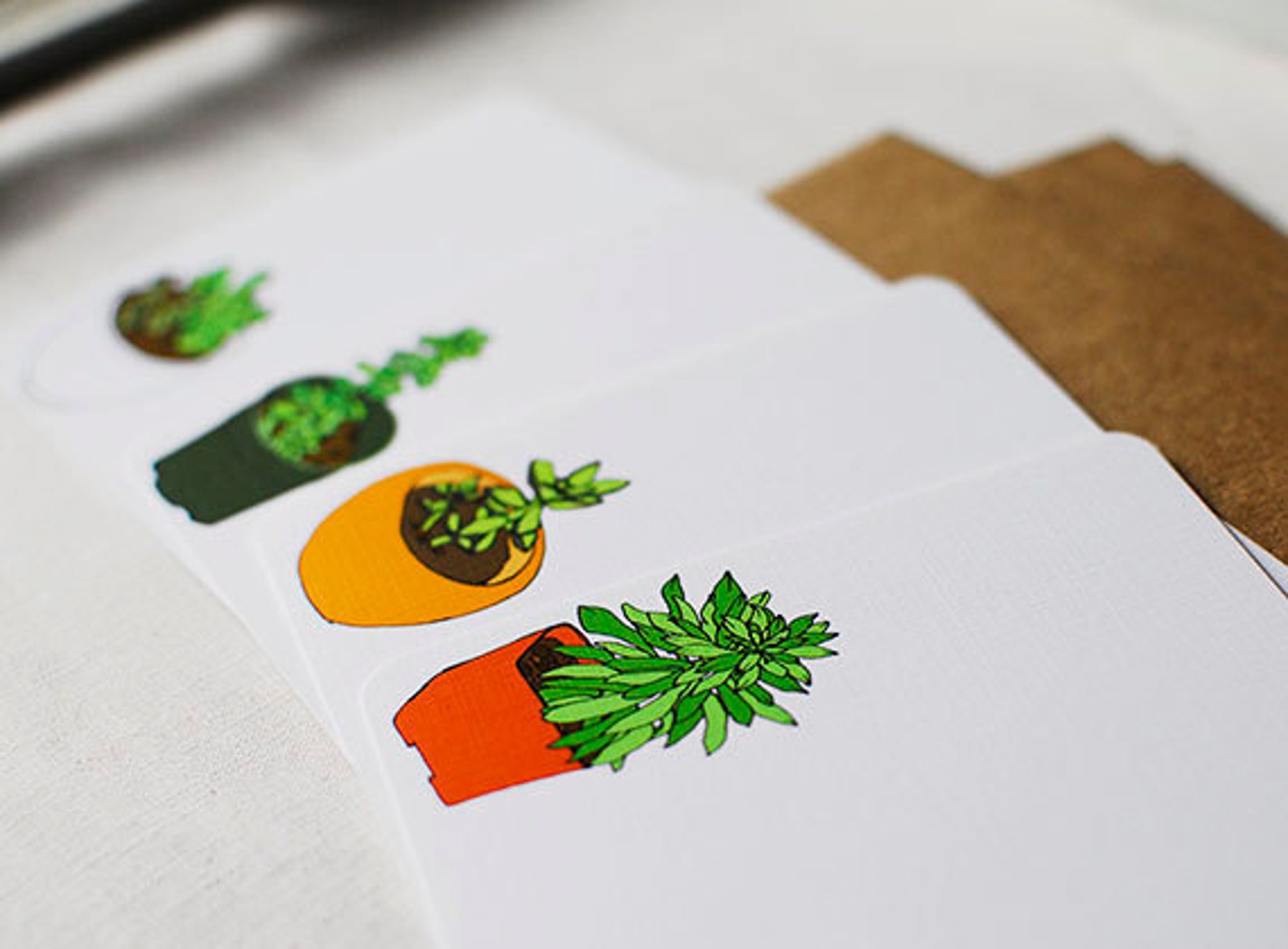 Succulent Flat Note Cards Set of 8 | Etsy