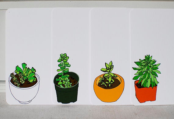 Succulent Flat Note Cards Set of 8 | Etsy