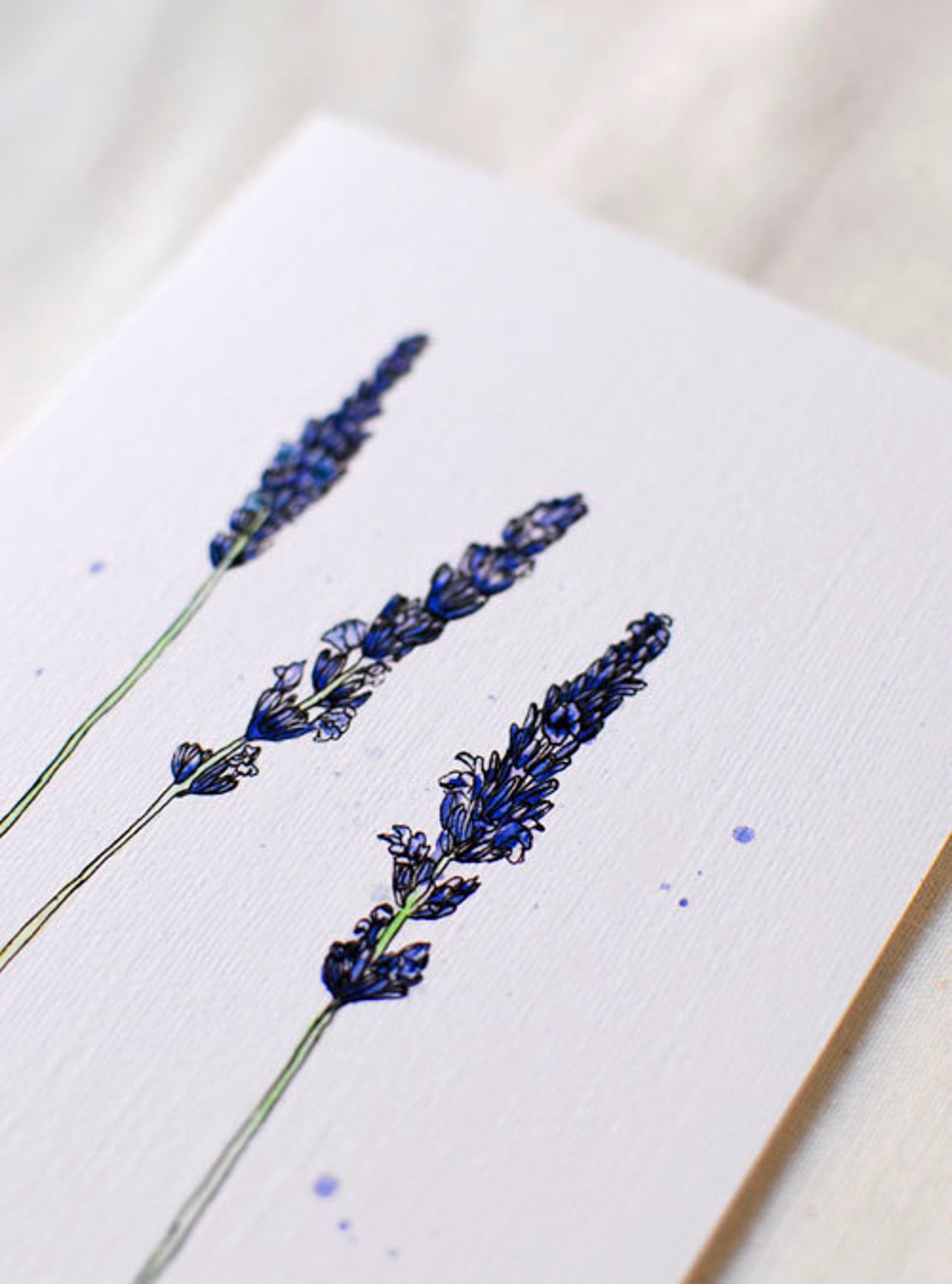 Lavender- Blank Card - Etsy