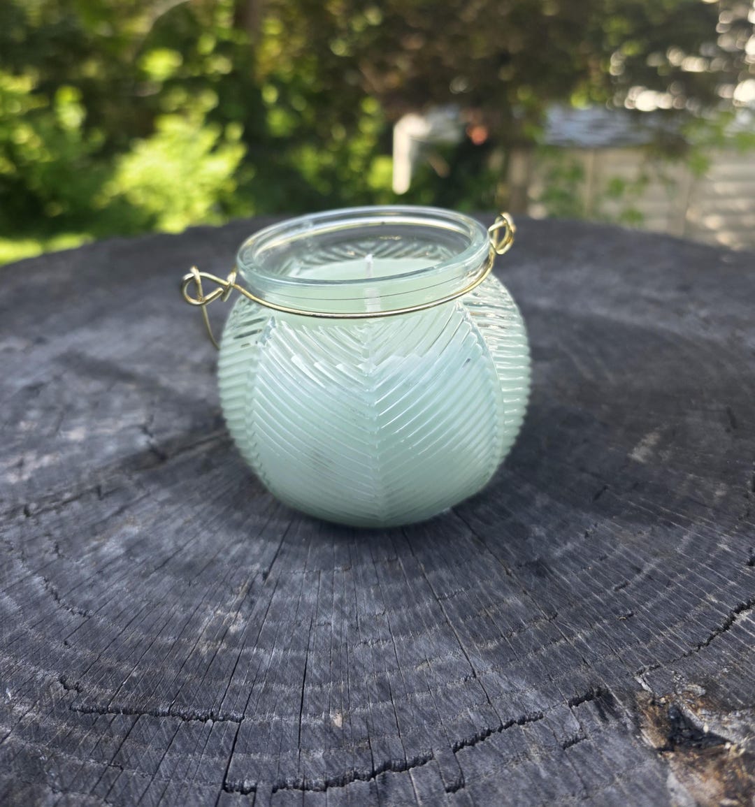 Bug Be Gone Candles - Etsy