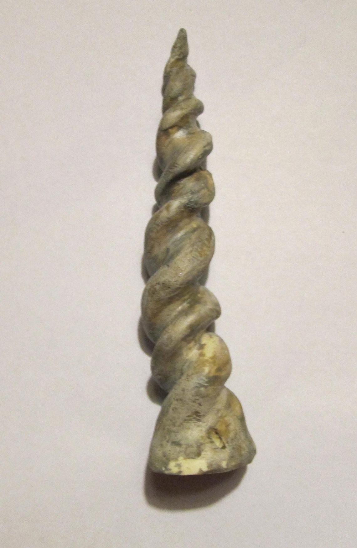 Real unicorn horn costume Unicorn horn bone look realistic | Etsy