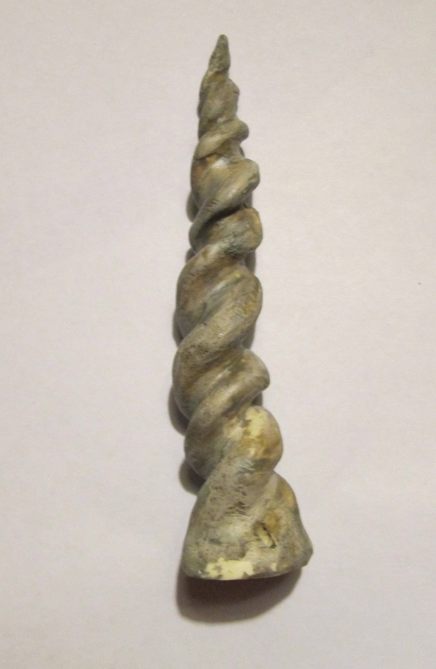 Realistic Unicorn Horn