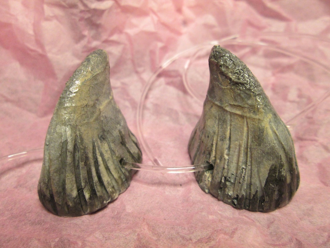 Itty Bitty, Teeny Tiny Costume Horns, Cute Horns, Teeny Tiny Low ...