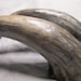 Satyr Cosplay, Custom Made Horns, Fairy Costume, Pan Horns, Lightweight ...