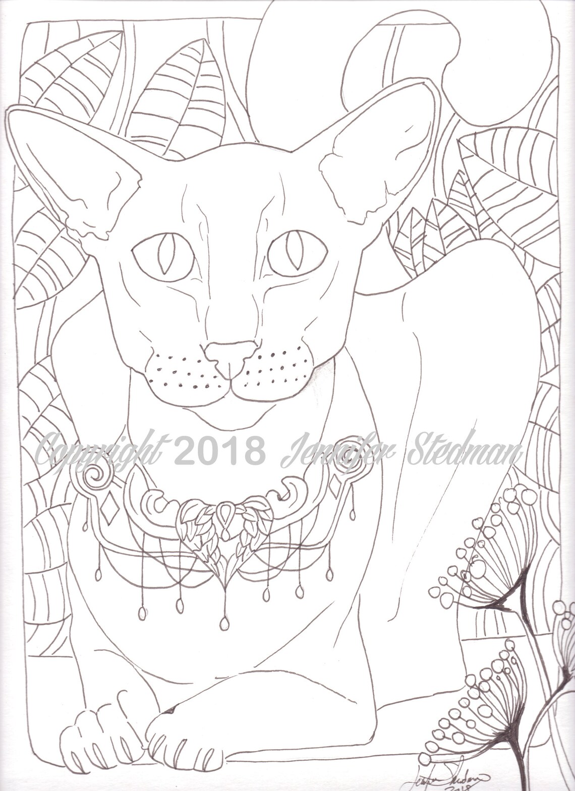 Blue Point Siamese Cat Coloring Page Download Shorthair Cat - Etsy