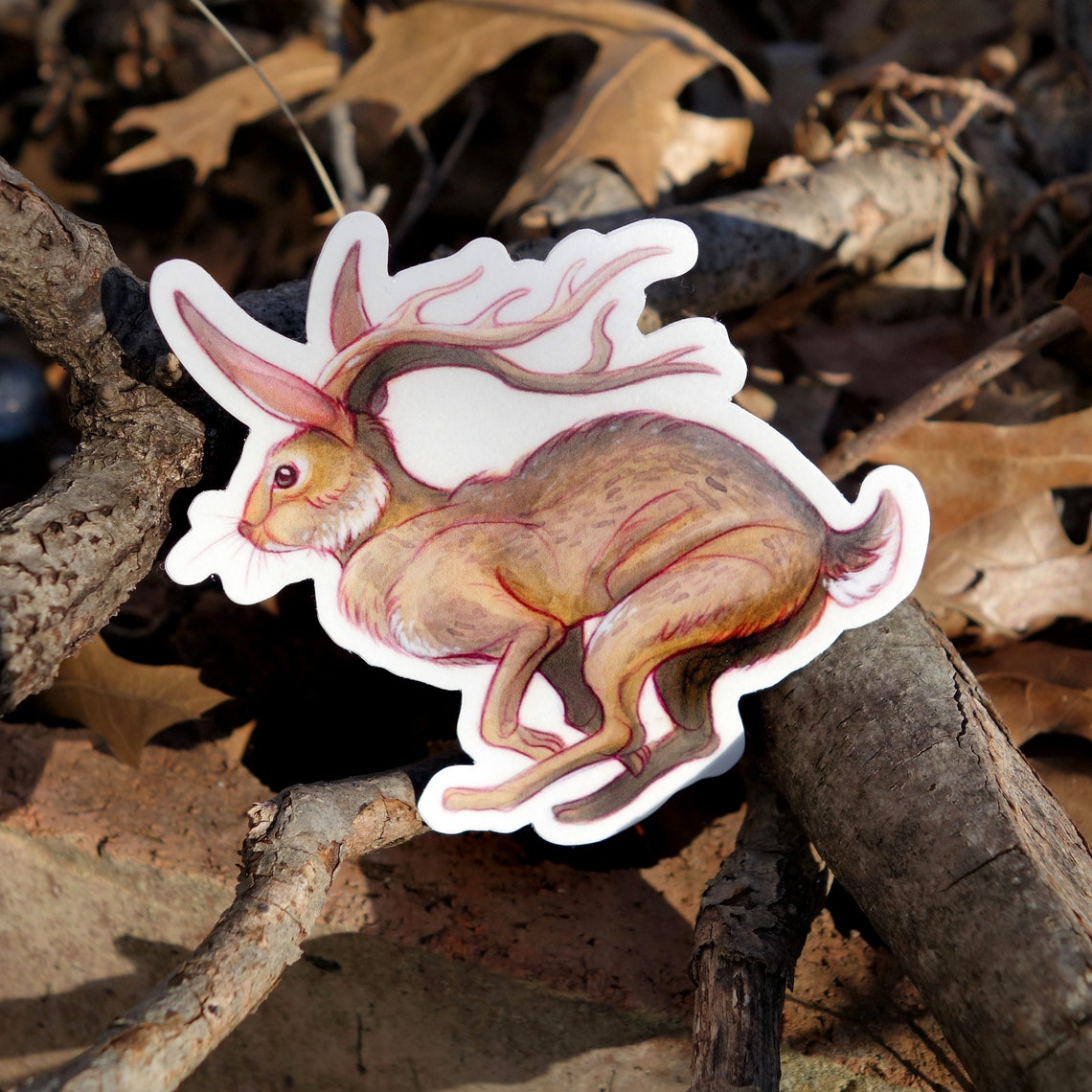 Jackalope Vinyl Sticker | Etsy