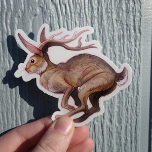 Jackalope Vinyl Sticker - Etsy