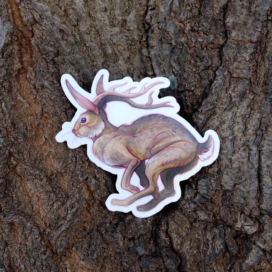 Jackalope Vinyl Sticker | Etsy