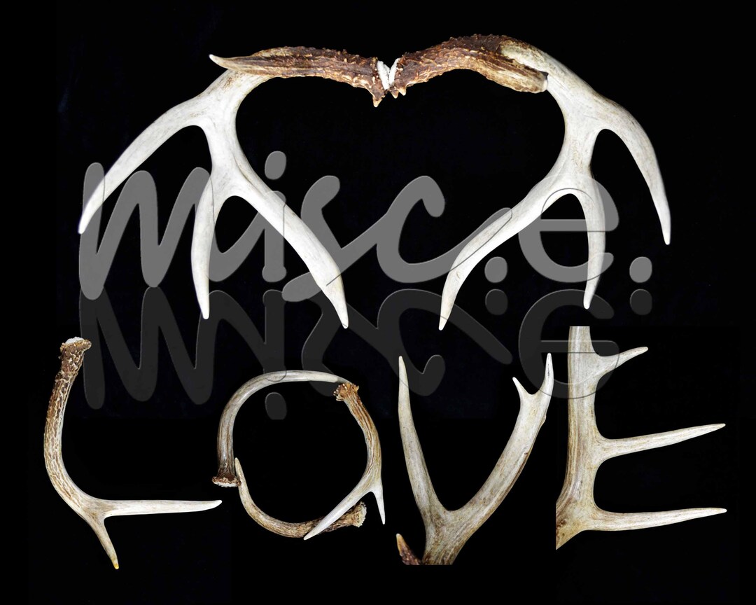 LOVE, Hunting Theme, Digital Download - Etsy