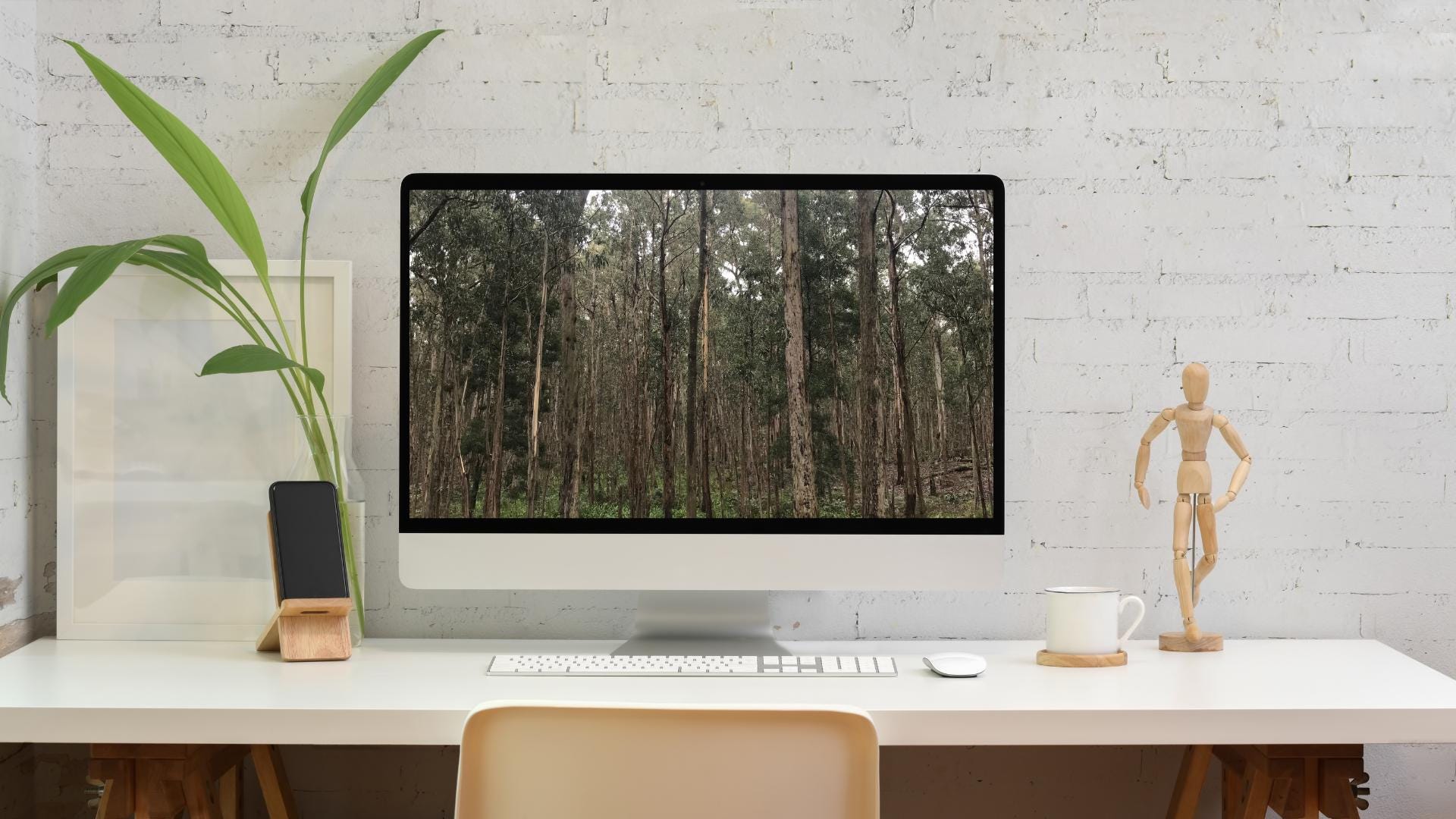 Deep Forest Fern Desktop Wallpaper – Calm Nature Background, Eucalyptus ...