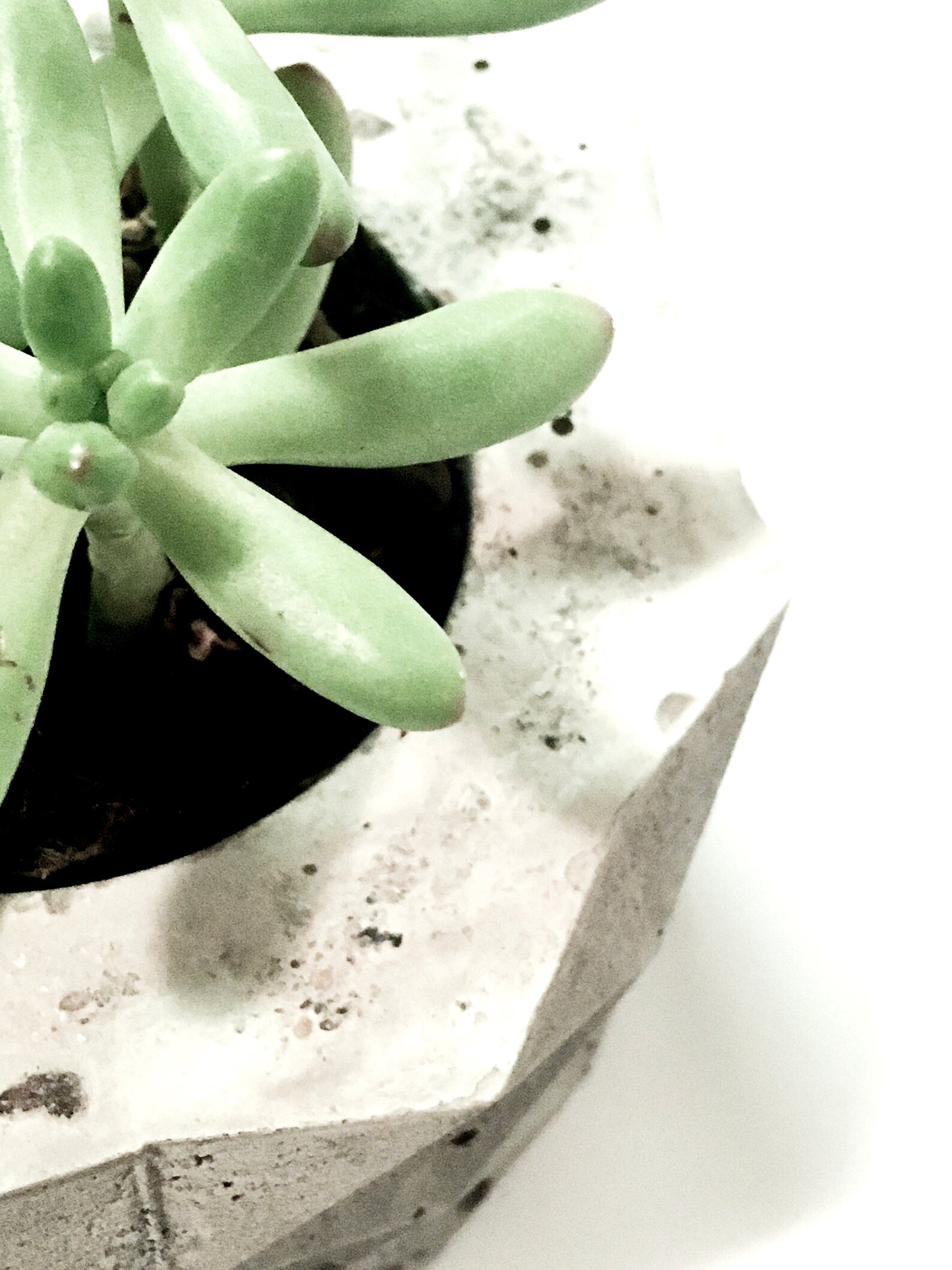 Small Concrete Planter. Modern Geometric Faceted Pot for - Etsy