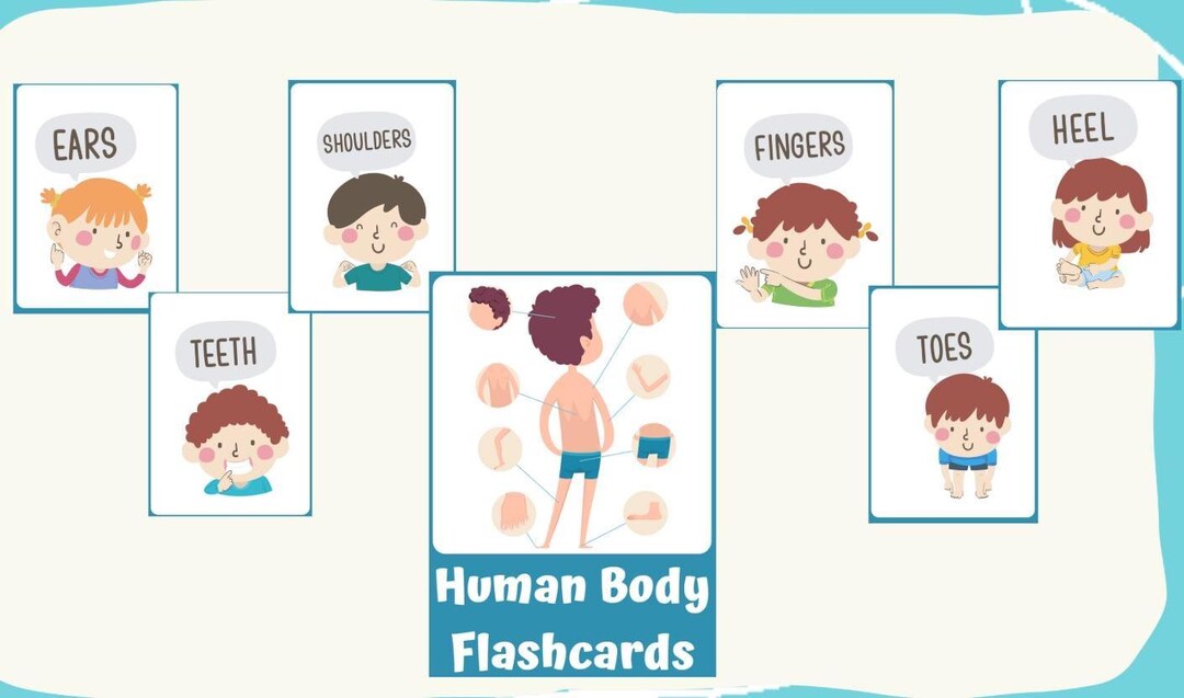 Human Body Flashcards for Kids | Printable Anatomy Cards | Learn Body ...