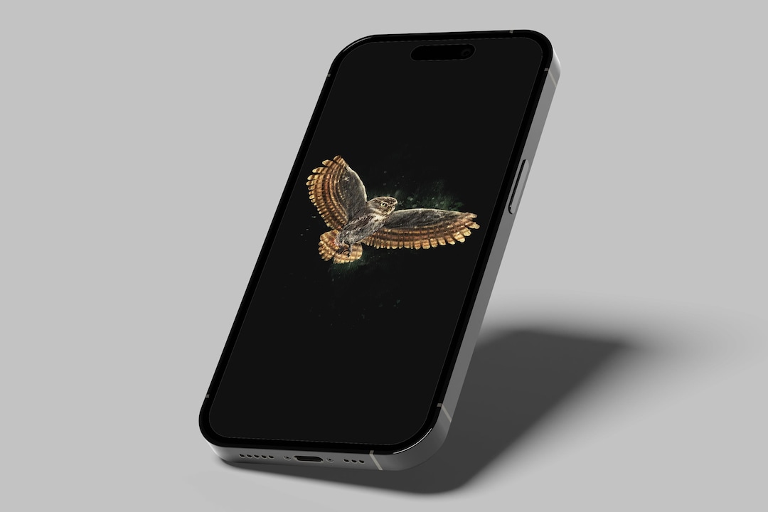 Artistic Phone/ Tablet Wallpaper - Flying Owl - Iphone, Android, Ipad ...