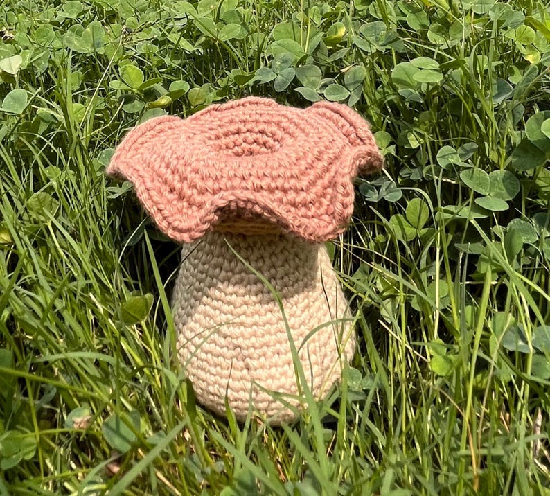 Mushroom Trio Original Crochet Amigurumi Stuffy Digital Download ...