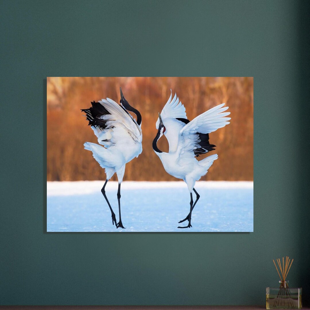 Dancing Storks Fine Art-poster - Etsy