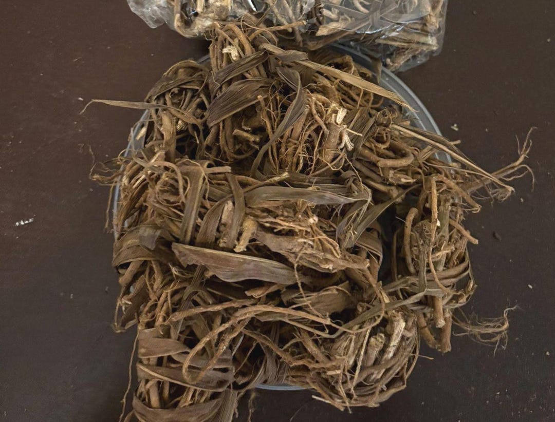 100% Organic Egbo Tude/ 1 Bunch - Etsy