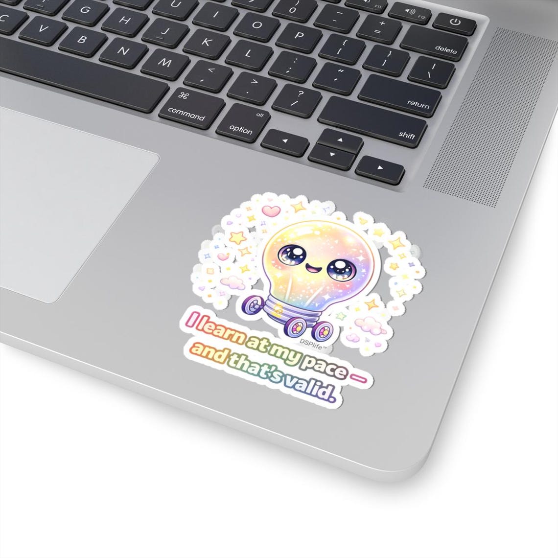 I Learn at My Pace Sticker | Neurodivergent Autism Acceptance Vinyl ...