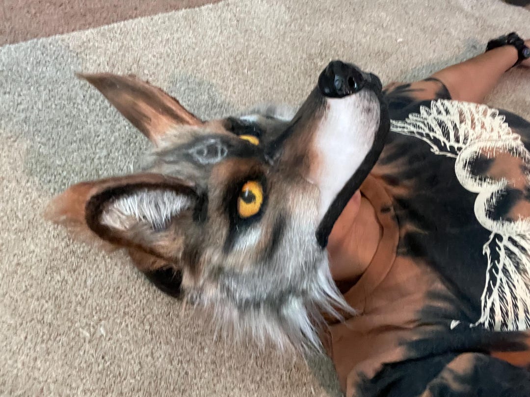 Random Therian Mask - Etsy