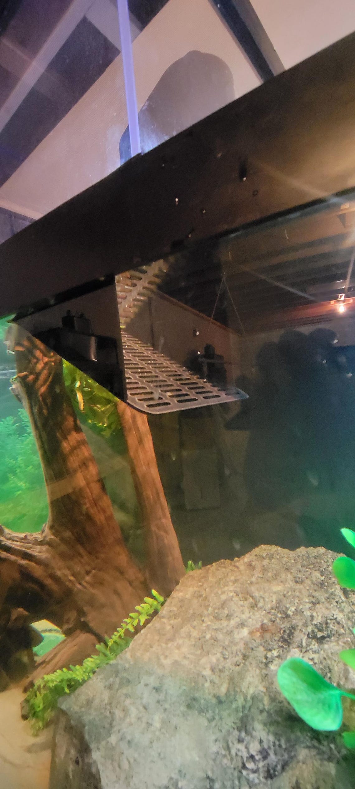 Super Turtle Basking Box! - Etsy