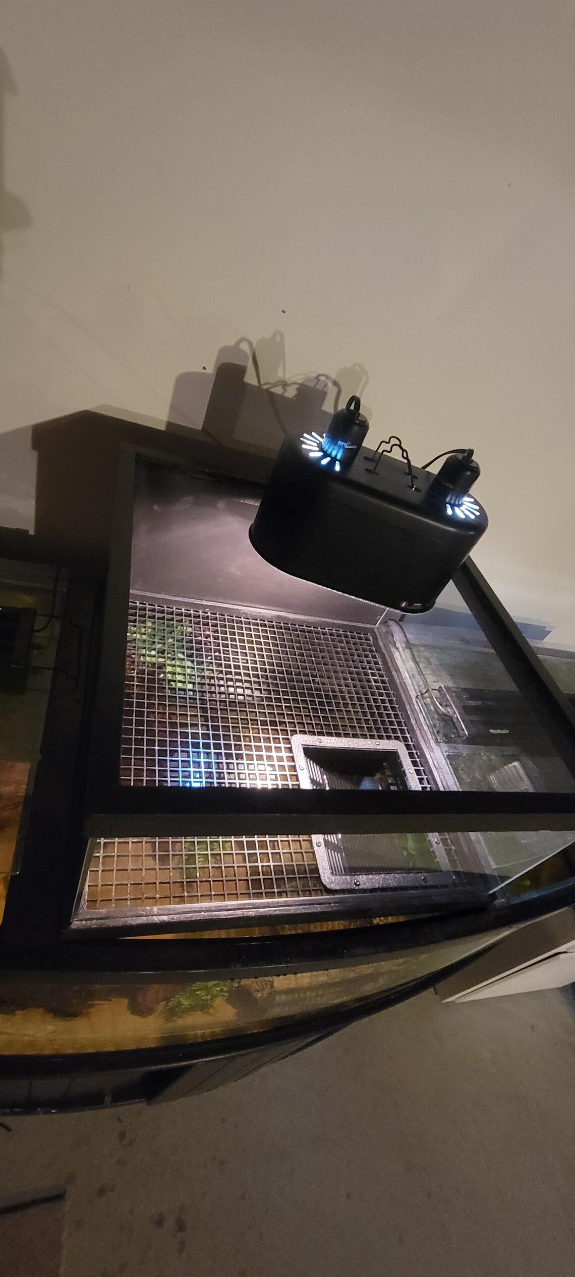 Super Turtle Basking Box! - Etsy
