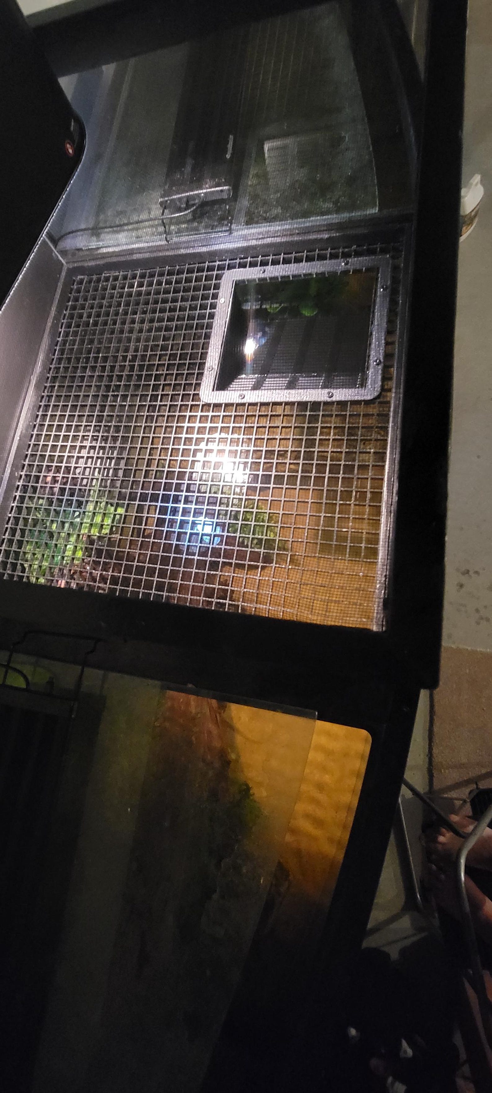 Super Turtle Basking Box! - Etsy