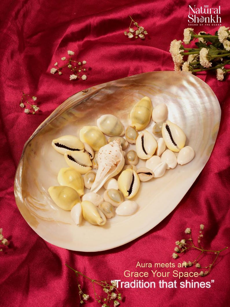 Wealth Kit: Sacred Cowrie Shells, Vishnu Shankh for Lakshmi Puja - Etsy