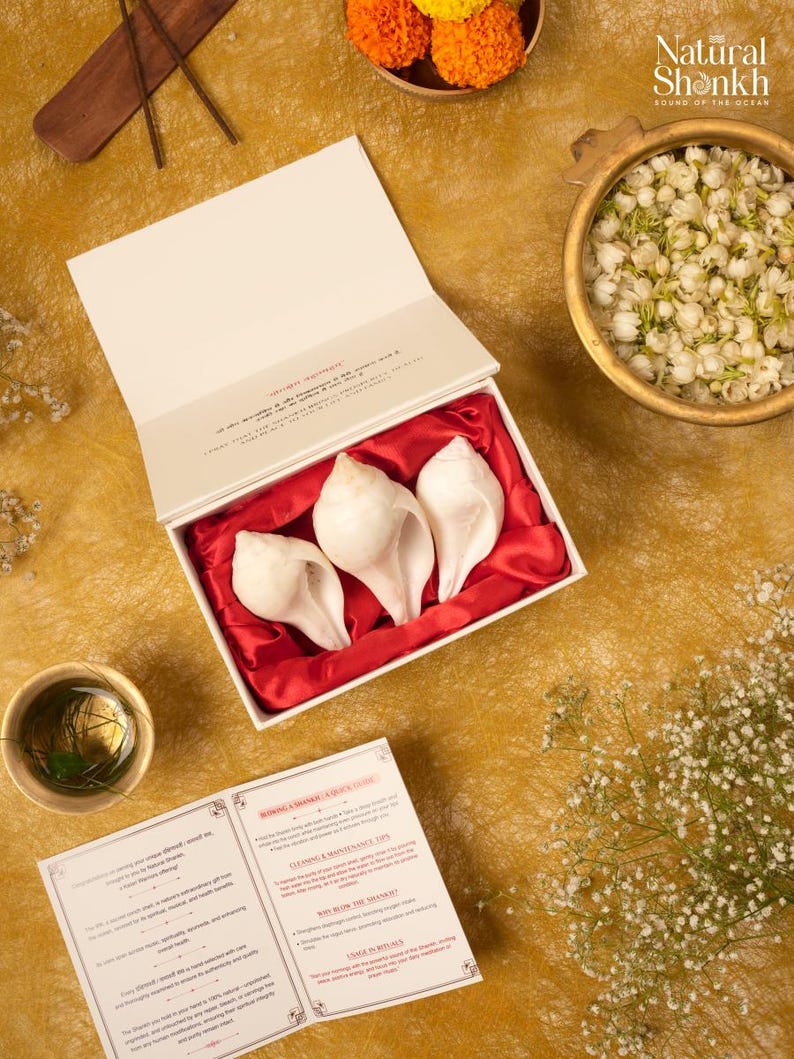 Vishnu Shankh Puja Kit | Jal Arpan Ritual Set | Sacred Conch for ...