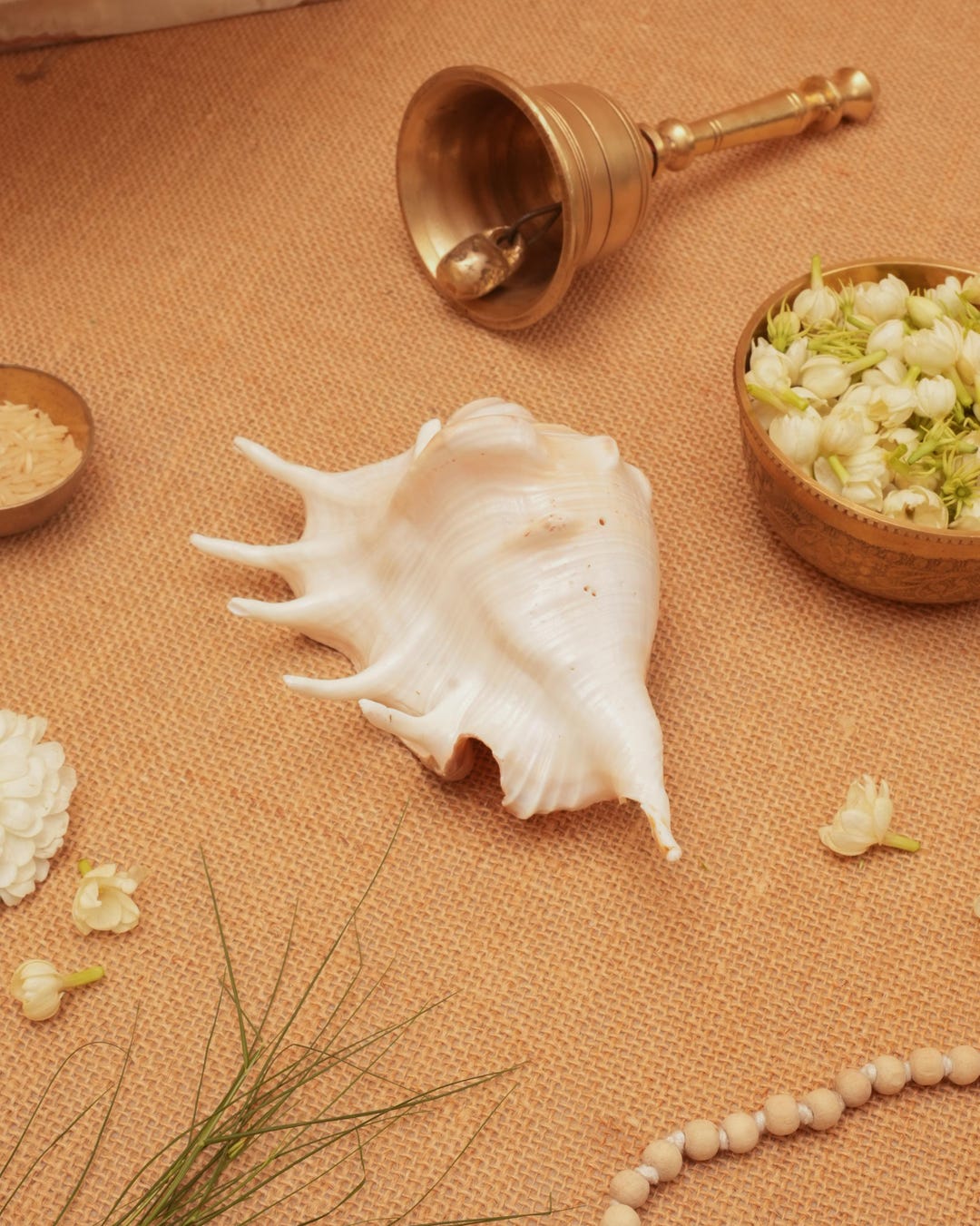 Panchmukhi Shankh | Natural Sacred Conch Shell | Sharp Sound for Puja ...